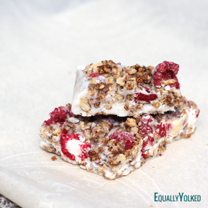 Paleo Coconut Raspberry Energy Bars | Primal Palate | Paleo Recipes