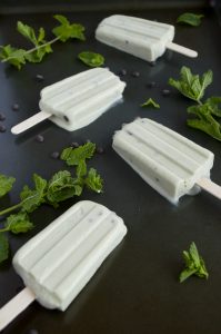 Mint Chocolate Chip Popsicles | Primal Palate | Paleo Recipes
