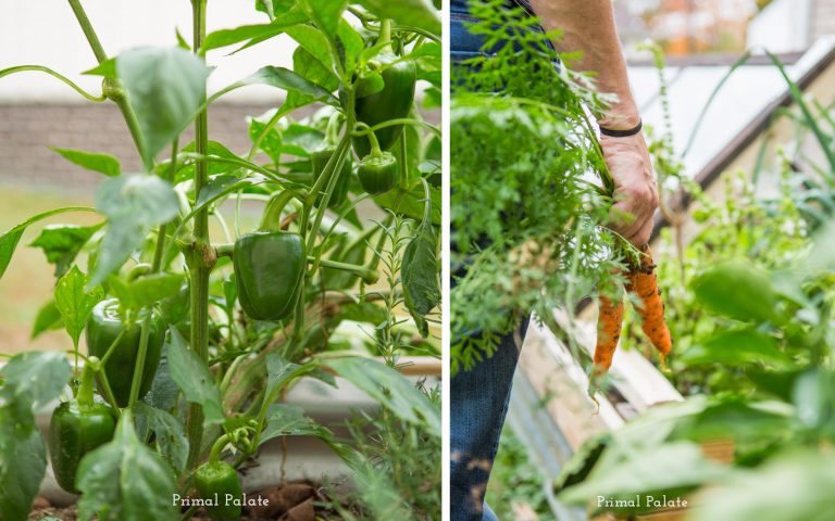 Extending The Growing Season Using Cold Frames | (an experiment ...