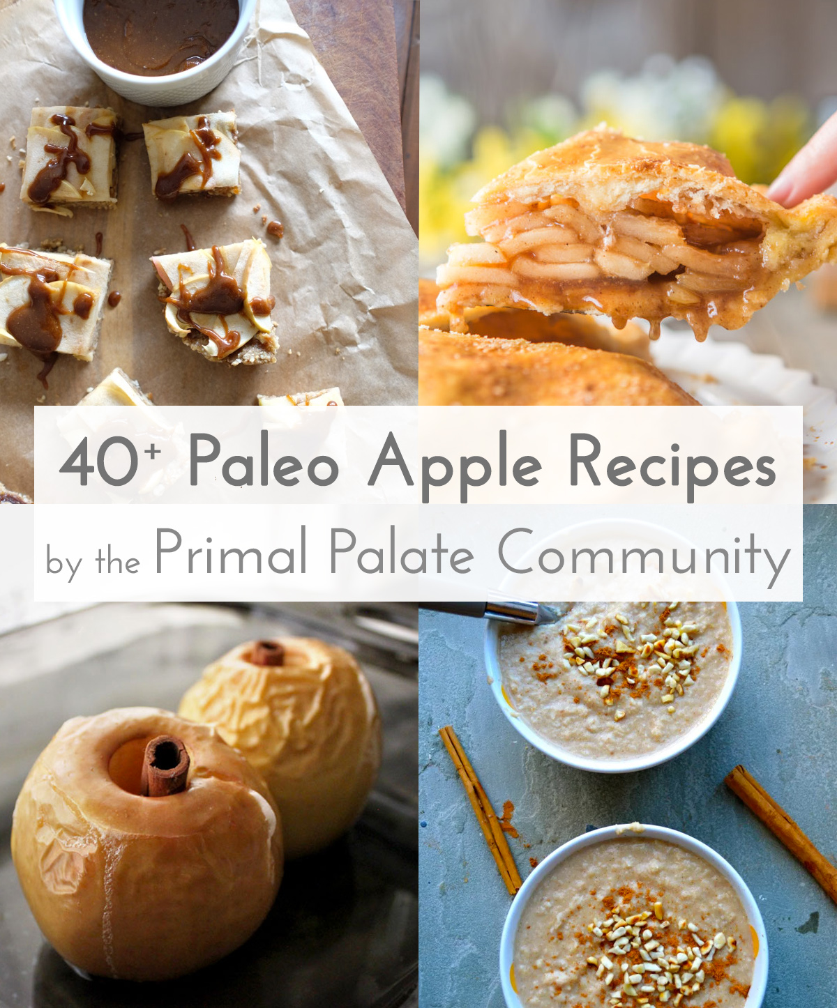 How do you like them Apples? Paleo Recipe Roundup | Primal Palate ...