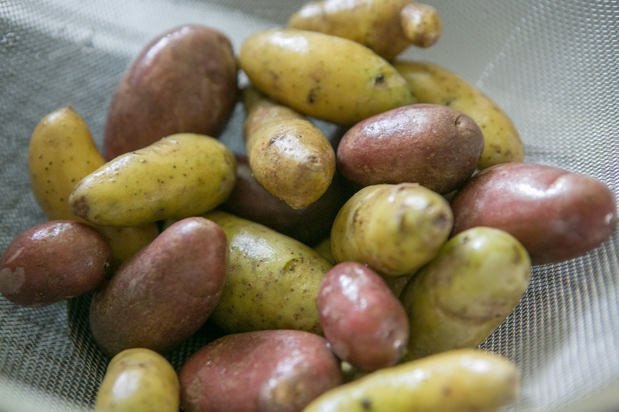 Roasted Root Vegetables with Sausage | Primal Palate | Paleo Recipes