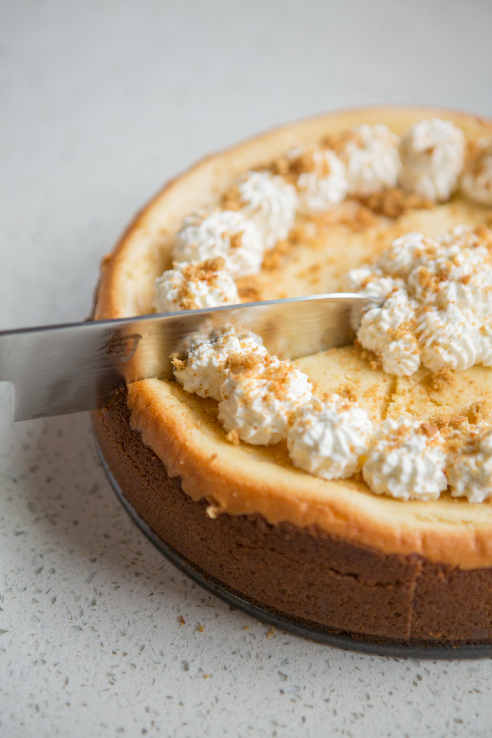 Dairy-Free Lemon Cheesecake | Primal Palate | Paleo Recipes