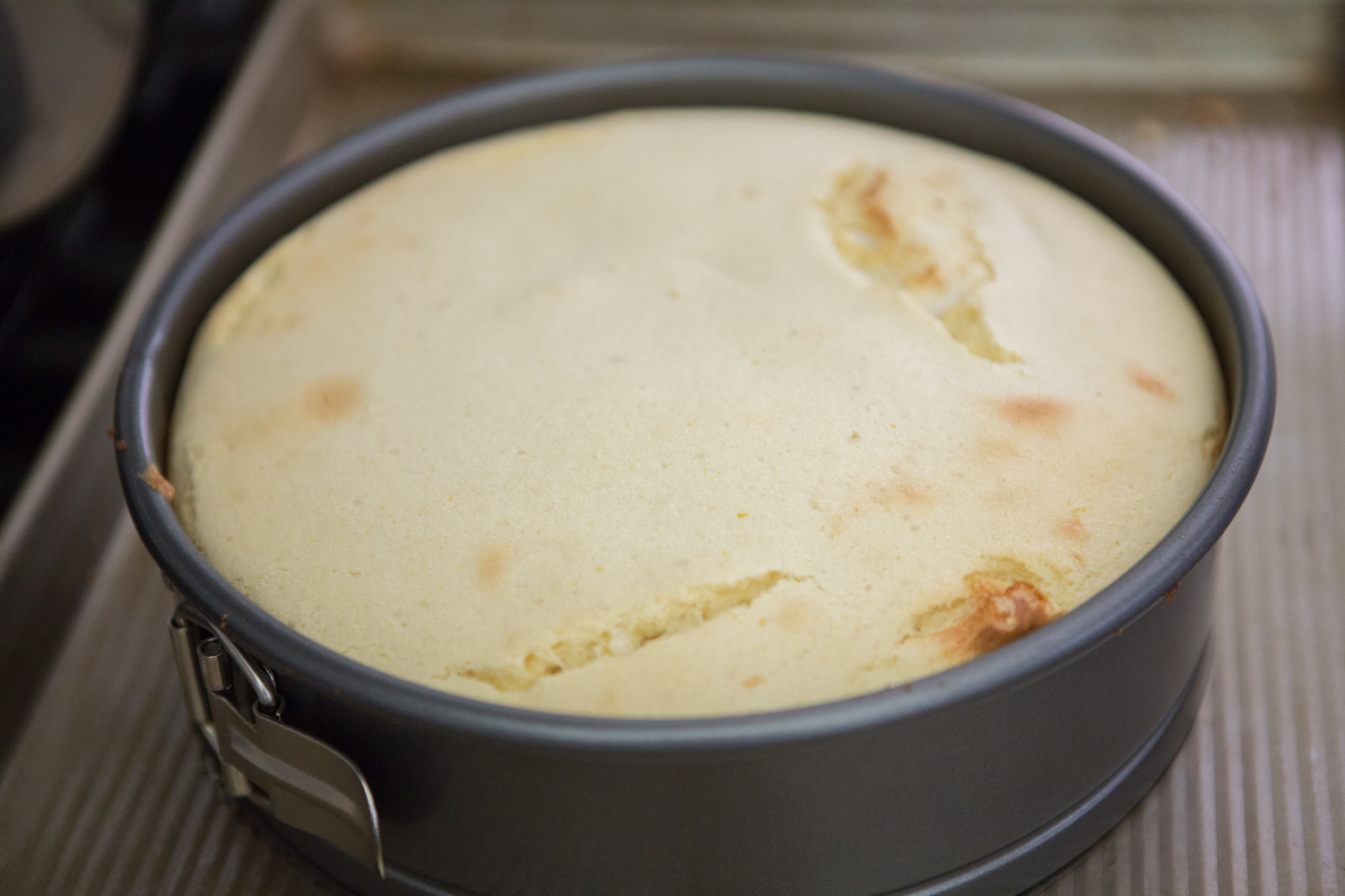 Dairy-Free Lemon Cheesecake | Primal Palate | Paleo Recipes