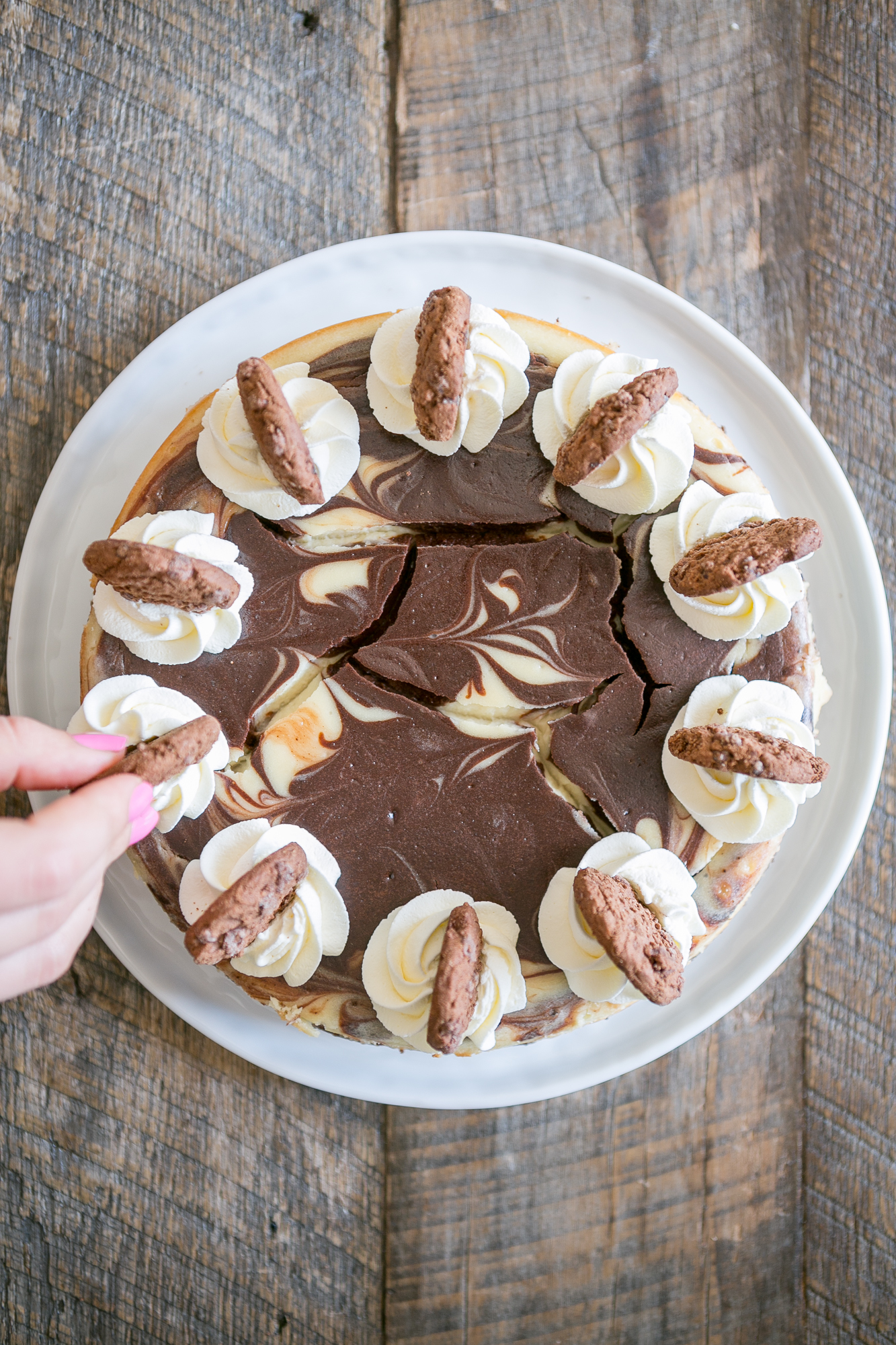Dairy-Free Marble Cheesecake | Primal Palate | Paleo Recipes