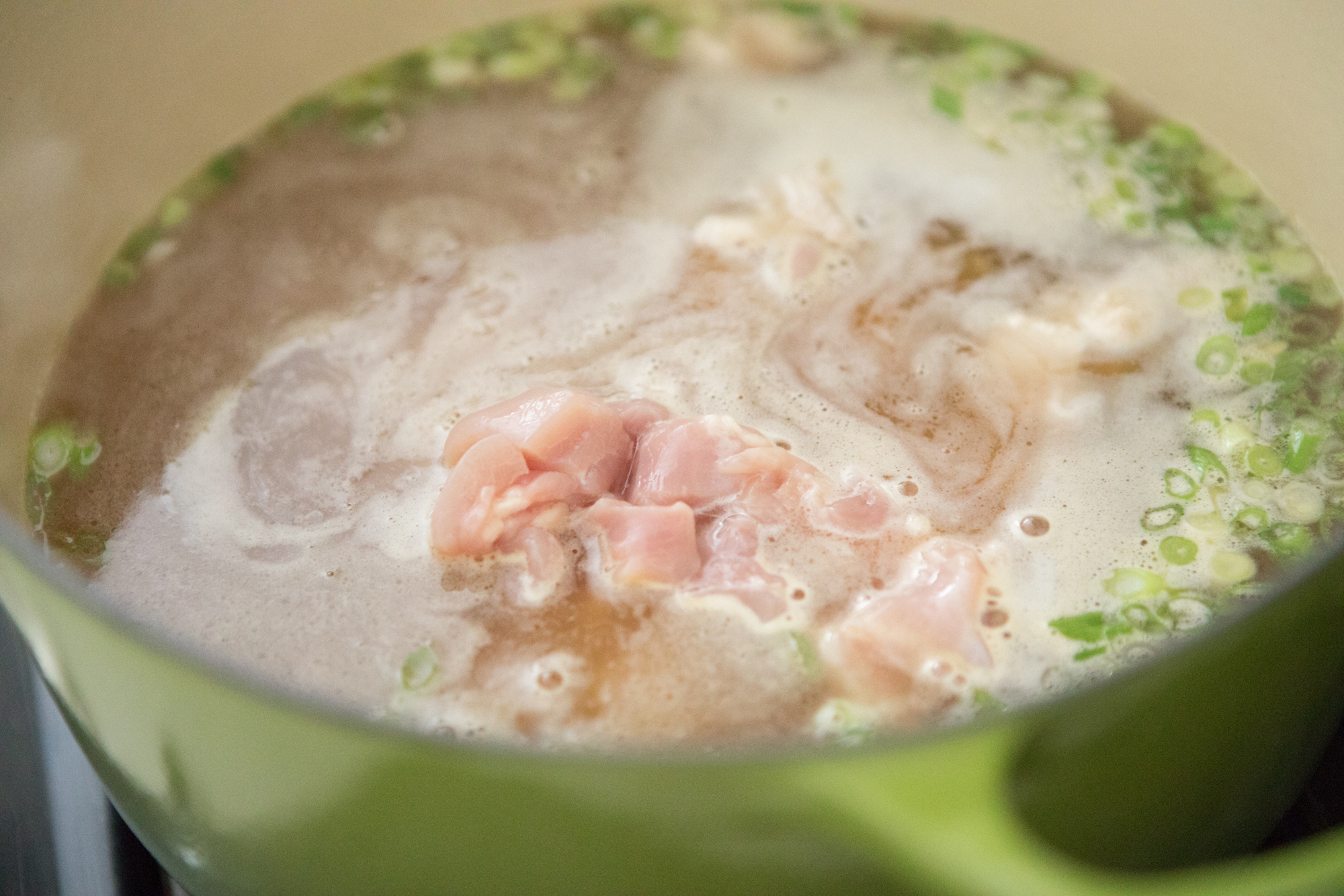Ginger and Scallion Chicken Soup | Primal Palate | Paleo Recipes